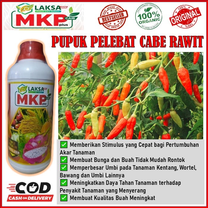Jual Pupuk MKP Laksa Grow Plus Pupuk Semprot Pelebat Cabe Rawit - Pupuk Perangsang Pada Cabe ...