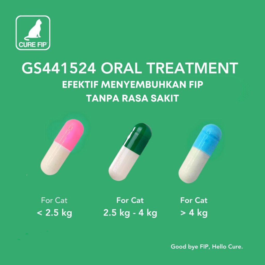Jual Cure FIP - Oral Kapsul Pengobatan Kucing FIP / Obat Kucing FIP / Pil Antivirus Kucing FIP ...