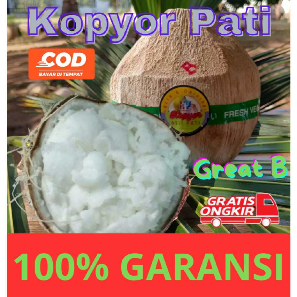 Jual Buah Kelapa Kopyor / Great B / kelapa kopyor 100 % asli / Asli ...