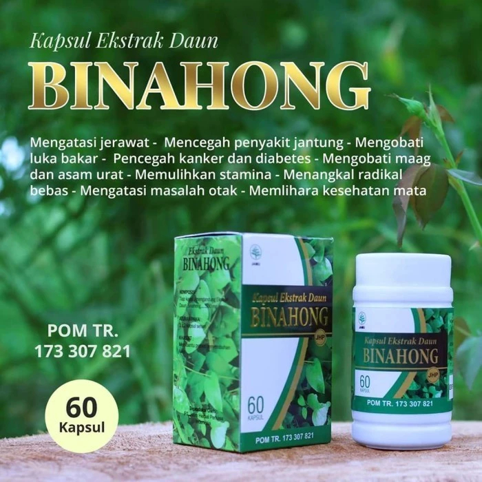 Jual Kapsul Daun Binahong Isi 60 kapsul Mengatasi Penyakit asli original 100% ASLI | Shopee ...