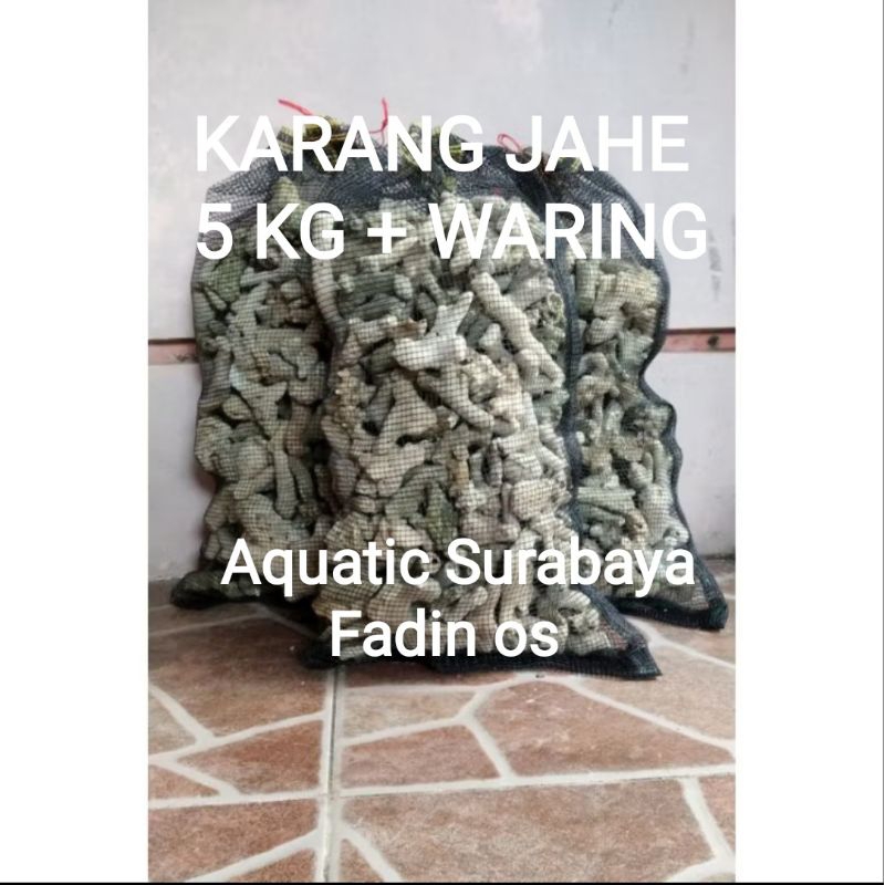 Jual KARANG JAHE 5 KG + WARING FILTER KOLAM IKAN KOI KARANG JAHE ...