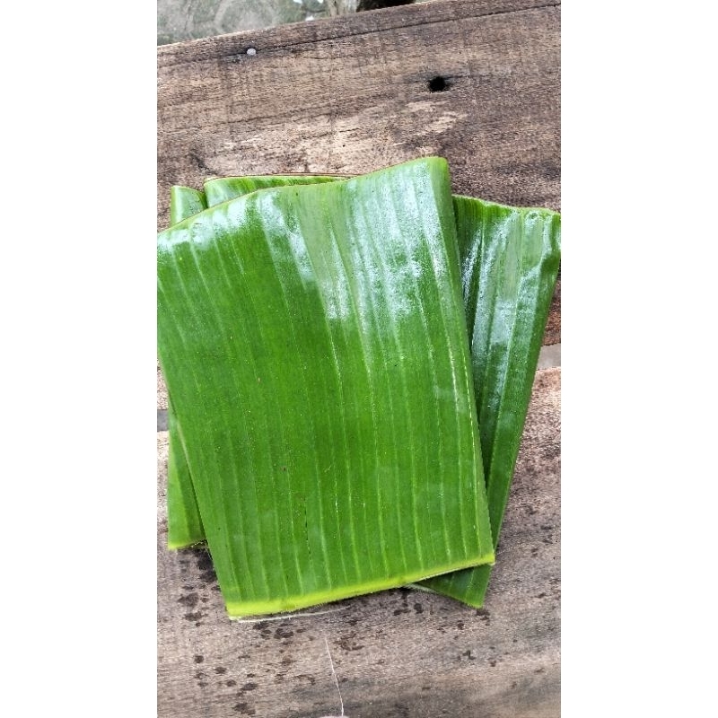 Jual DAUN PISANG LOKAL SEGAR 1KG | Shopee Indonesia