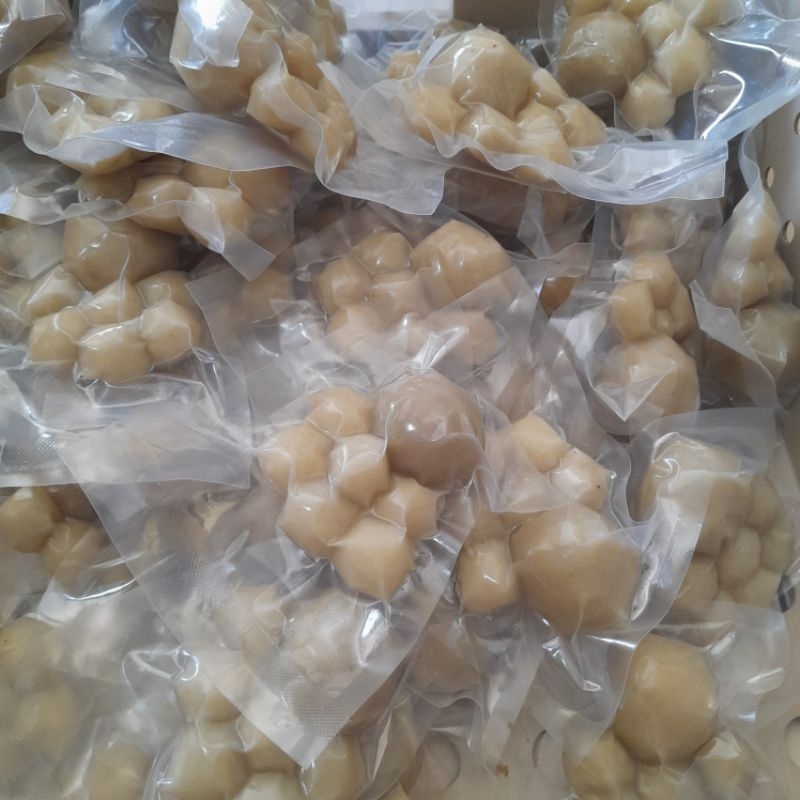 Jual BASO JUMBO AJA isi Ayam suwir atau Jando sapi | Shopee Indonesia