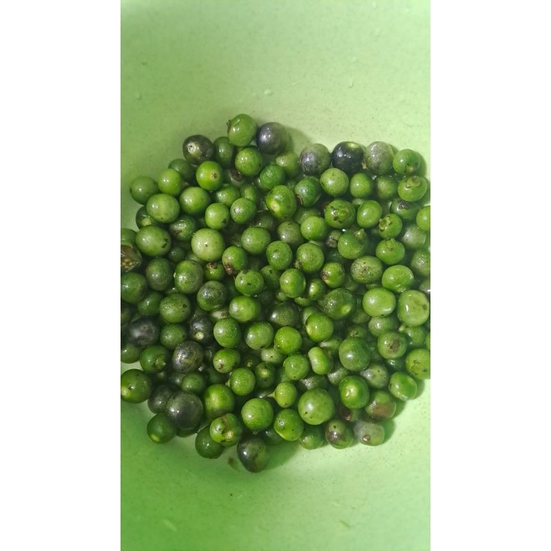 Jual Leunca Sayuran Lalap | Shopee Indonesia
