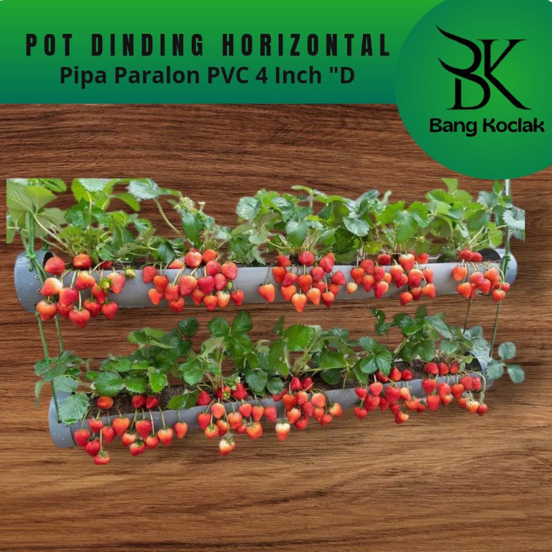 Jual POT DINDING GANTUNG HORIZONTAL, pot tanaman pot sayuran pot buah ...
