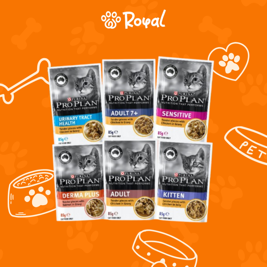 Jual Makanan Kucing Basah Pro Plan Wet Food Cat Food ProPlan Pouch ...