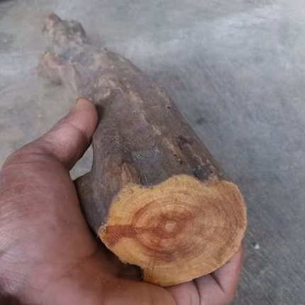 Jual bahan kayu raja merah agatis super | Shopee Indonesia