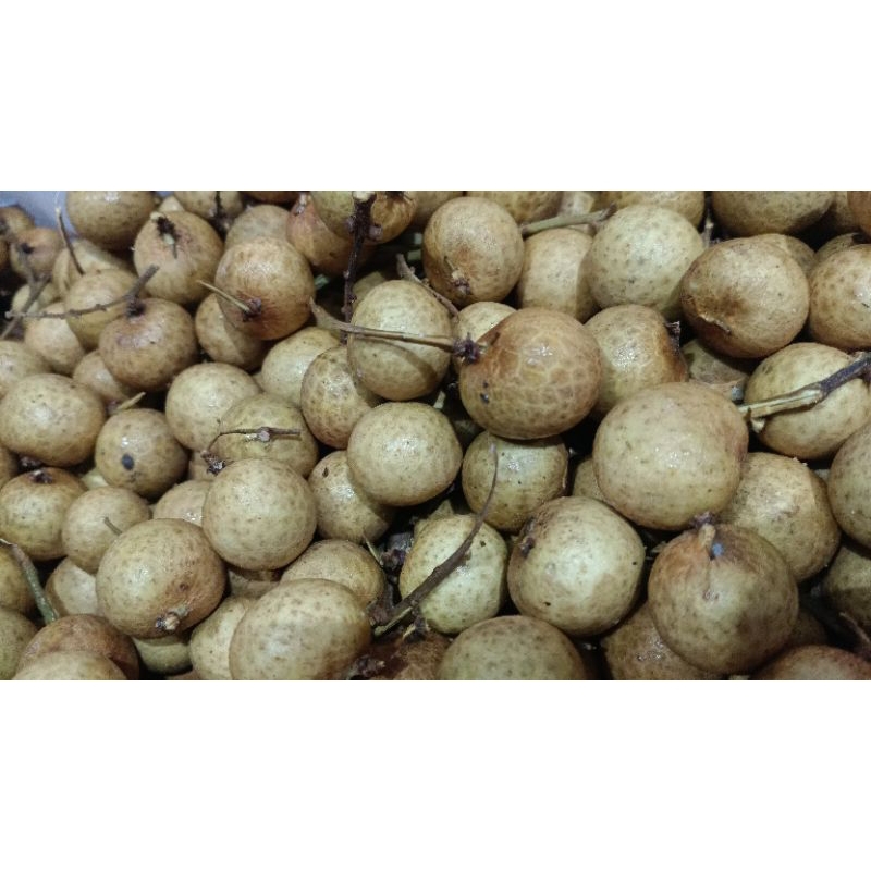Jual Lengkeng 1kg - Toko Buah Darto Jaya | Shopee Indonesia