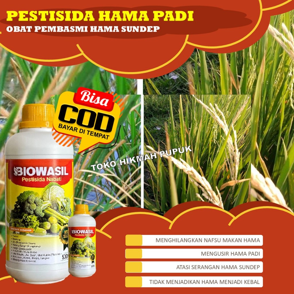 Jual Pupuk Hama SUNDEP Pada Tanaman Paling Bagus BIOWASIL Pestisida ...