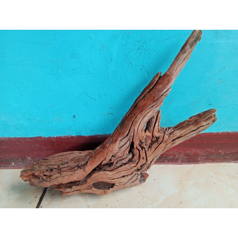 Jual kayu stigi gunung aquascape berserat | Shopee Indonesia