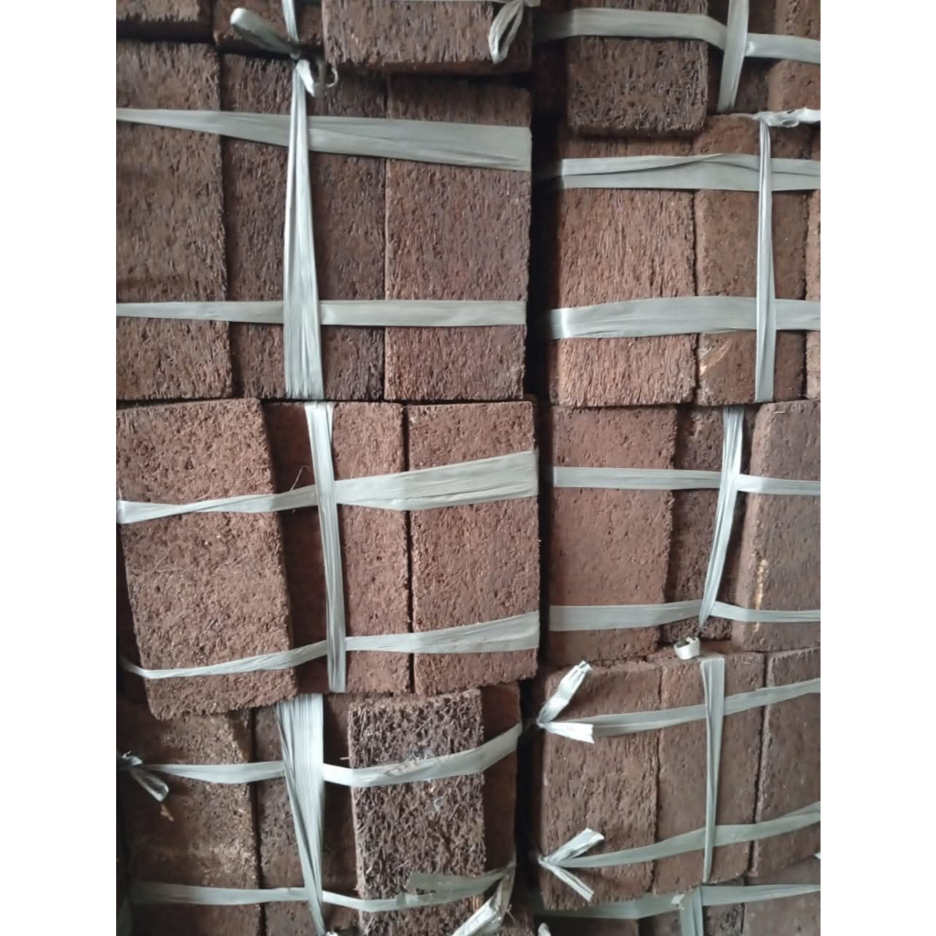 Jual RB2 Paket 10 Pakis Lempeng / Akar Pakis / Media Tanaman Anggrek ...