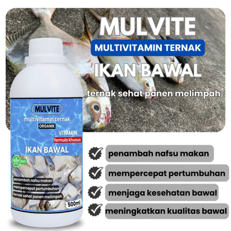 Jual MULVITE multivitamin ternak IKAN Bawal, VITAMIN Ikan Bawal Agar Cepat Besar 500 Ml ...