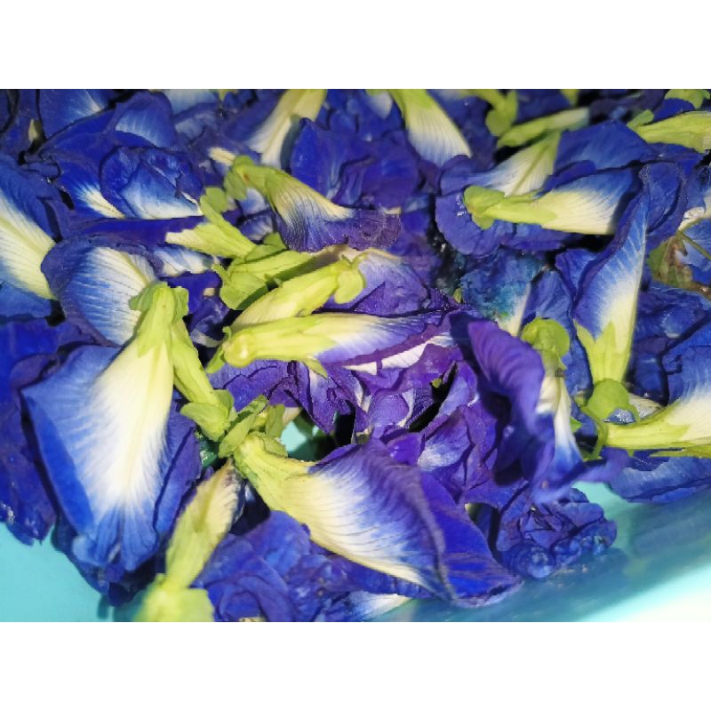 Jual Teh Bunga Telang Kering 100 gr Organik | Shopee Indonesia