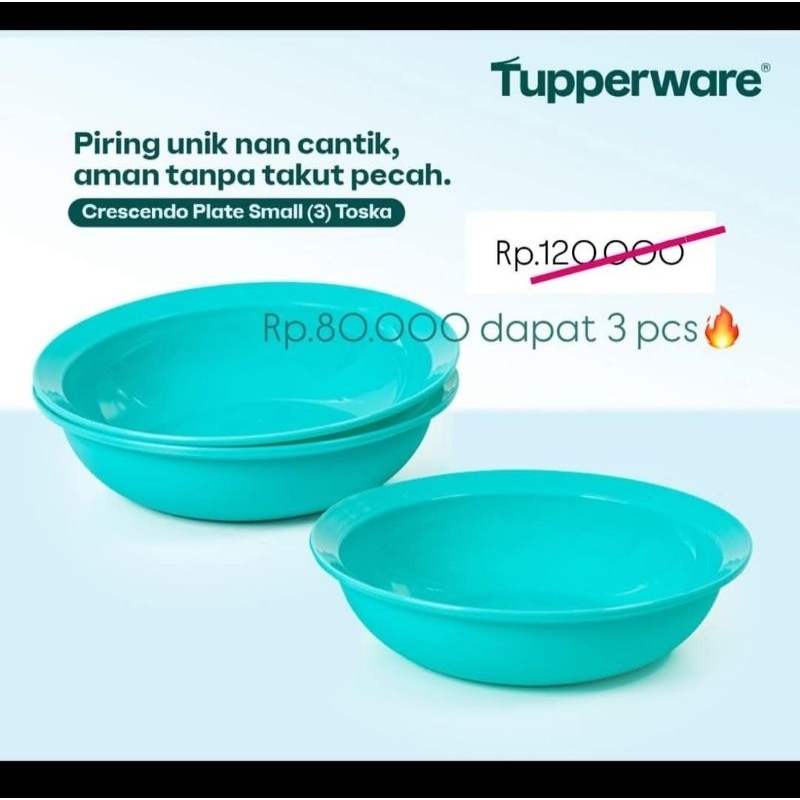 Jual Tupperware Small Cressendo Plate Ideal Bowl | Shopee Indonesia