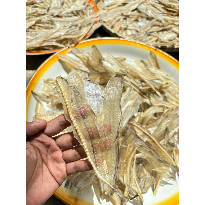 Jual Ikan kering pepija khas tarakan 250 gram | Shopee Indonesia