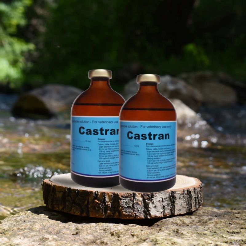 Jual castran 100 ml | Shopee Indonesia