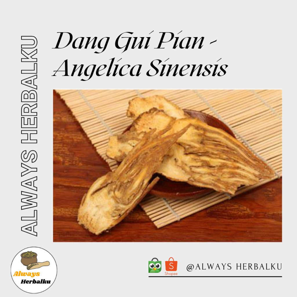 Jual Dang gui pian / Tong kui / Tang gui pian / Angelica sinensis (100 ...