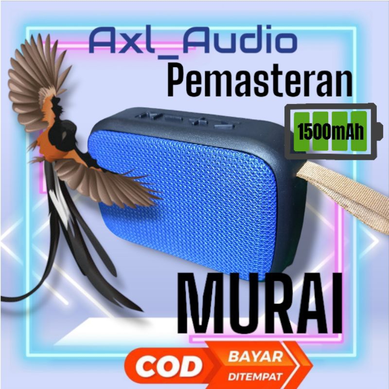 Jual Masteran burung murai musik box mp3 murai | Shopee Indonesia