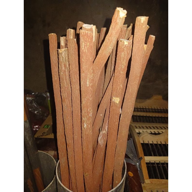 Jual TANGKRINGAN BUAT KANDANG KOTAK KAYU TETEHAN MIRIP ASAM JAWA BUAT ...