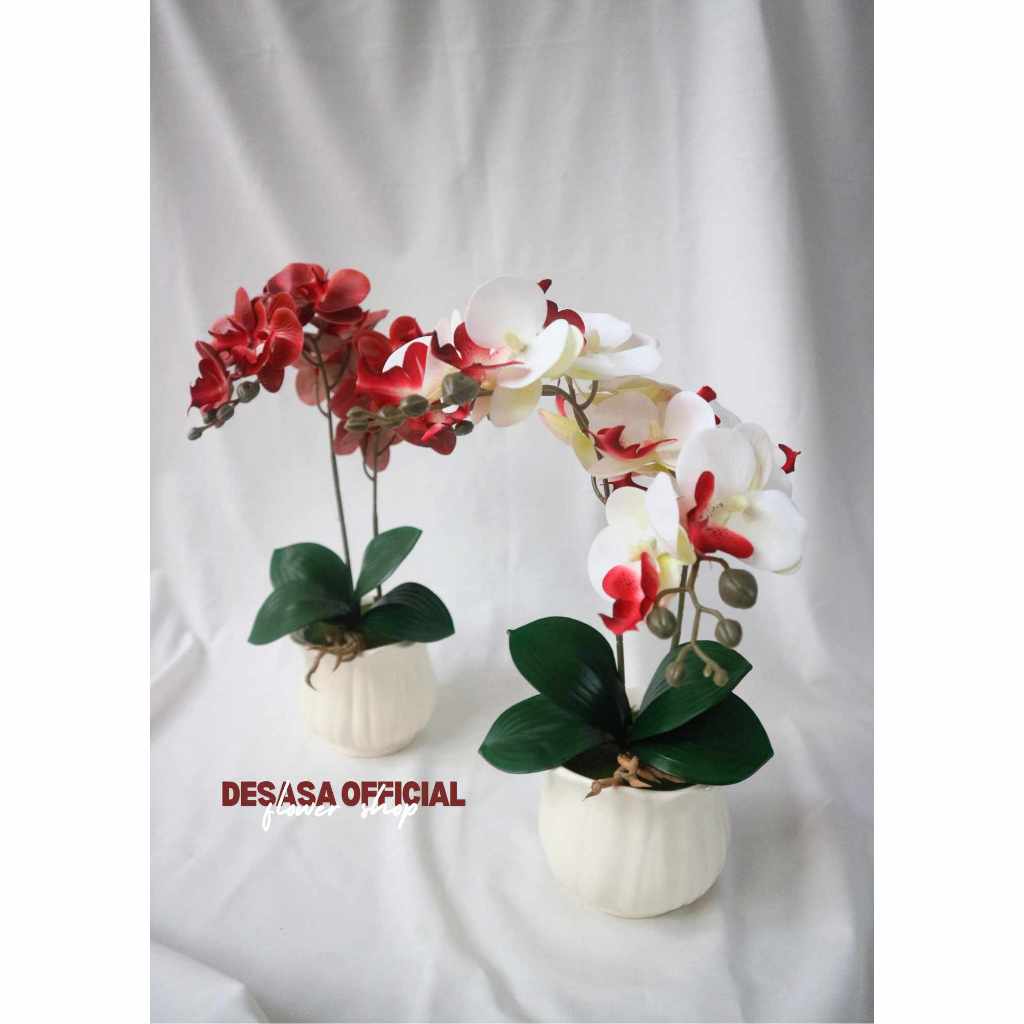 Jual BUNGA ANGGREK / BUNGA MEJA / BUNGA UCAPAN / BUNGA MAROON dan PUTIH ...