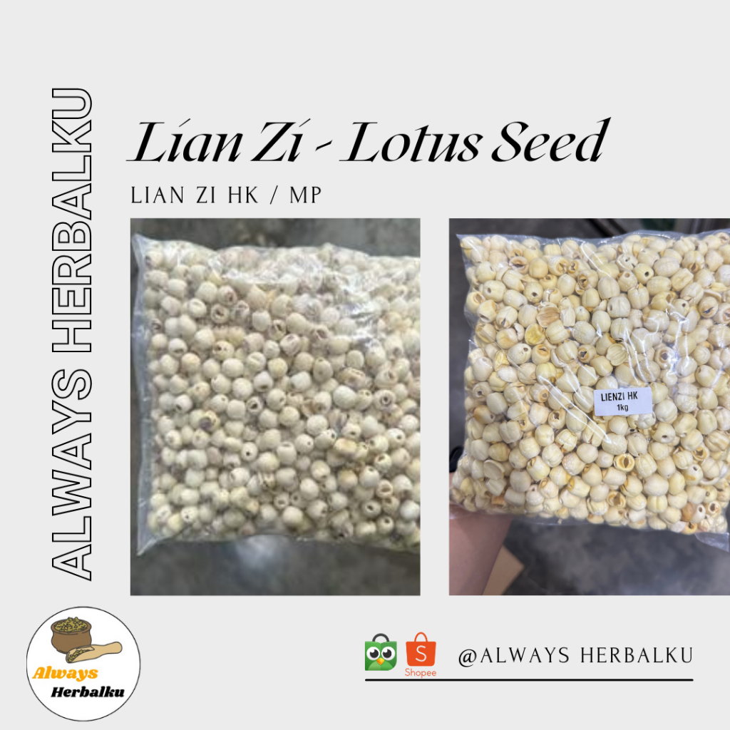 Jual Lian zi / Biji bunga teratai / Lotus seed / Lian zi HK / Lian zi ...