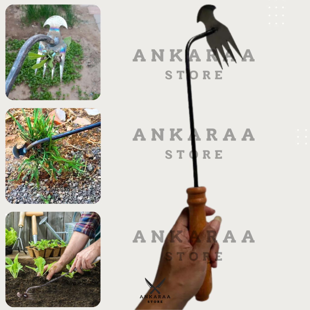 Jual Alat Berkebun Pencabut Rumput Liar Halaman Rumah / Weeding Garu ...