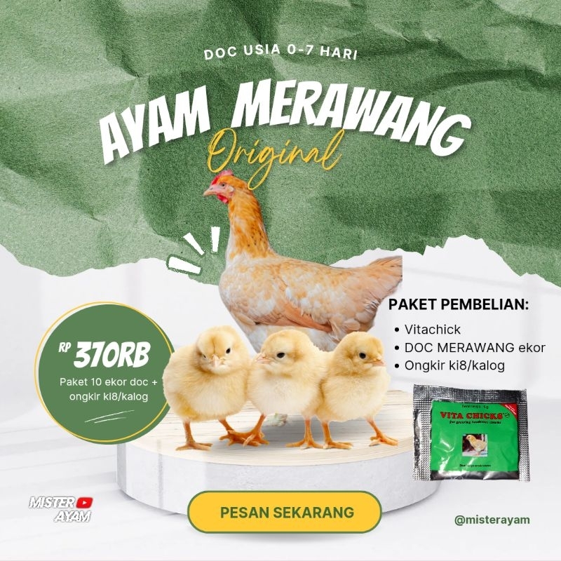 Jual DOC MERAWANG ORI ISI 10 | Shopee Indonesia