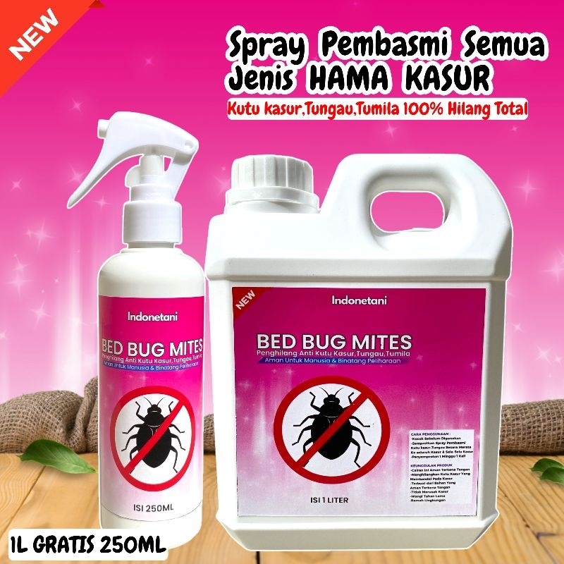 Jual Spray Anti Kutu Kasur | Kutu Busuk | Tungau Kasur | Serangga ...