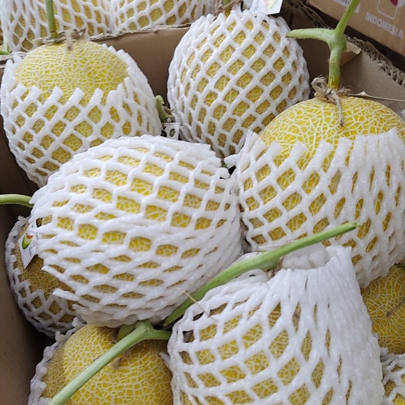 Jual MELON EMERALD ATAU MELON INTHANON 1 BUAH | Shopee Indonesia