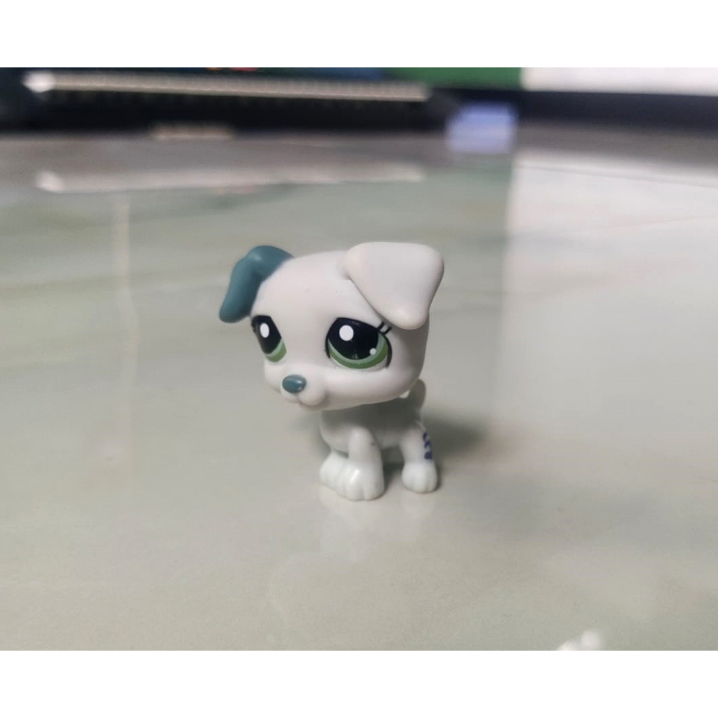 Jual LPS Littlest Pet Shop #1426 Jack Russell Hasbro Collector Toys ...