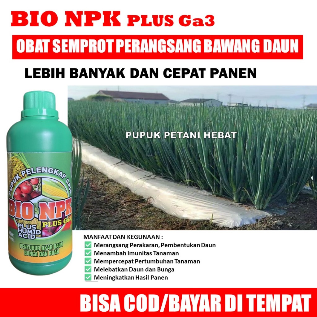 Jual NPK GAZA Pelebat Bawang Daun Terbaik Tahan di Musim Hujan dan Kemarau - Pupuk NPK Cair ...