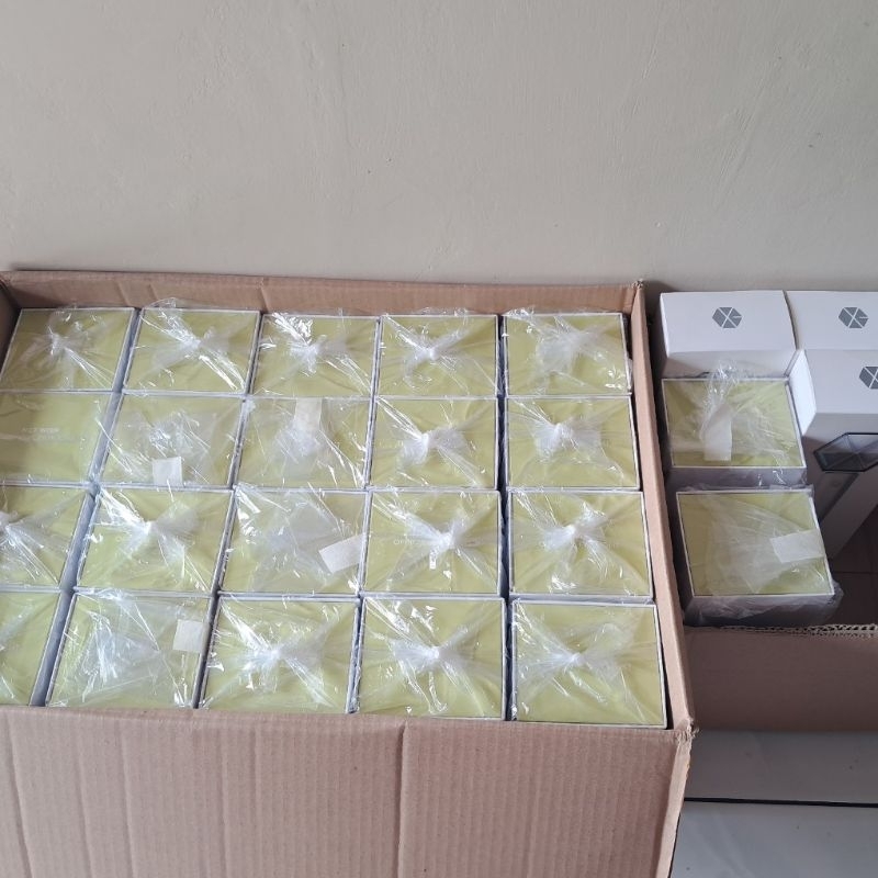 Jual [READY STOCK] NEO LIGHTSTICK FANLIGHT NCT V2 DREAM 127 WISH WAYV ...