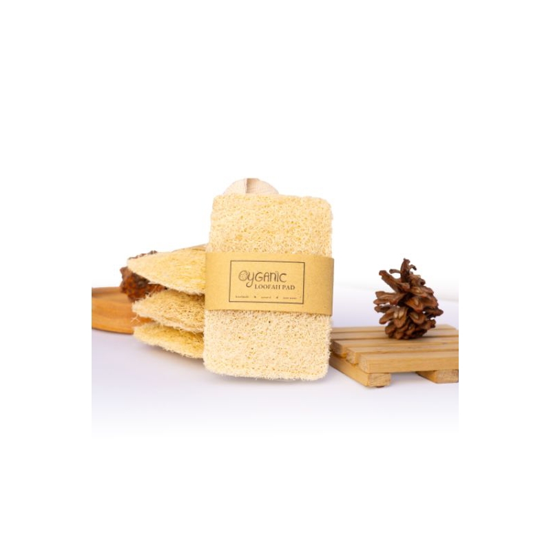 Jual Loofah Pad / Natural Sponge mandi dan cuci piring 100% Alami ...