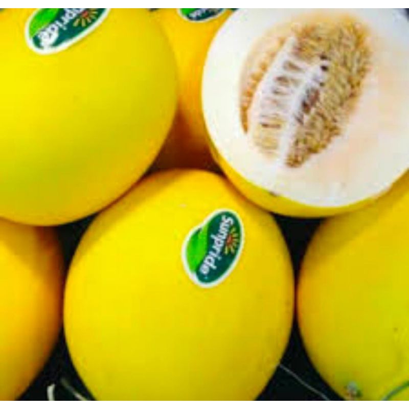 Jual Buah melon kuning / golden melon | Shopee Indonesia