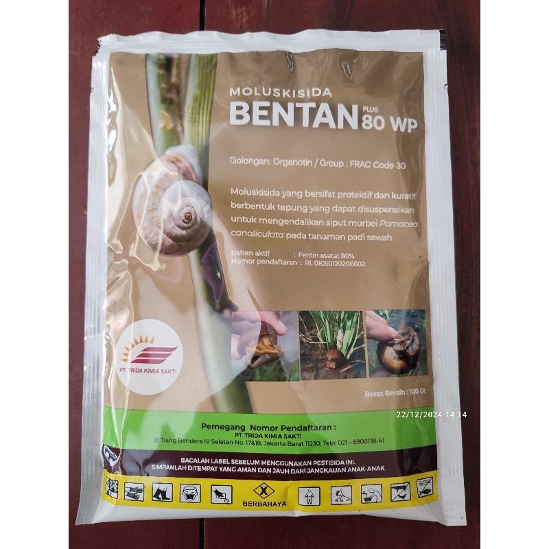 Jual BENTAN 80WP 100GR | Shopee Indonesia