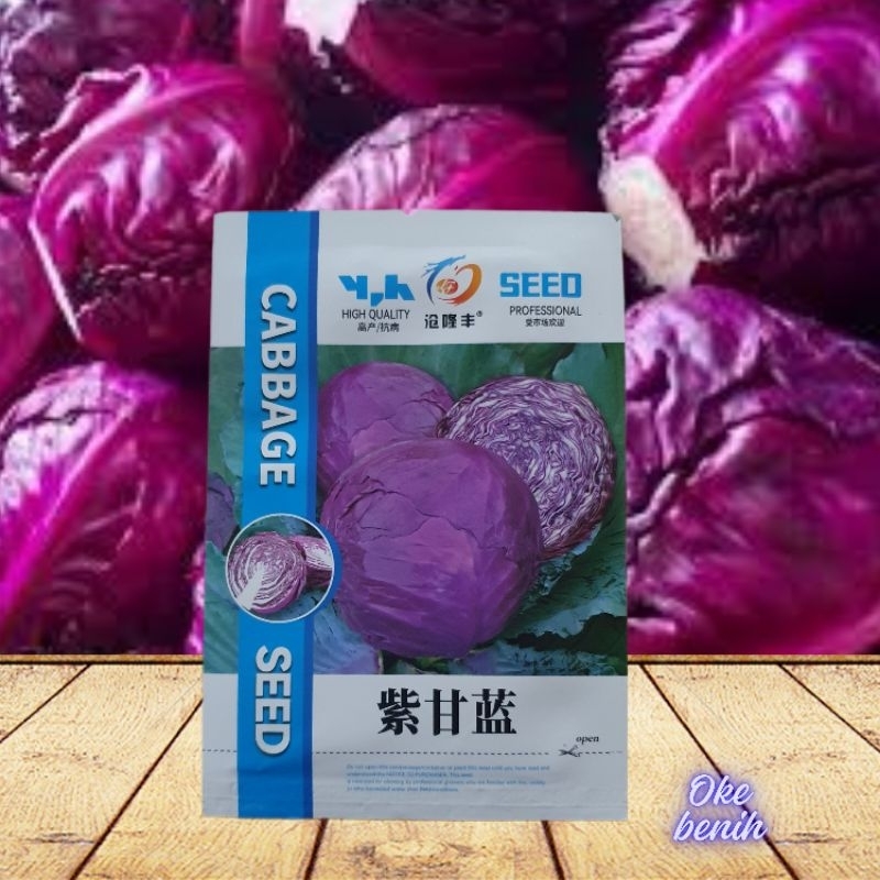 Jual KEMASAN ORIGINAL -+300 BUTIR BENIH KOL UNGU IMPORT | Shopee Indonesia