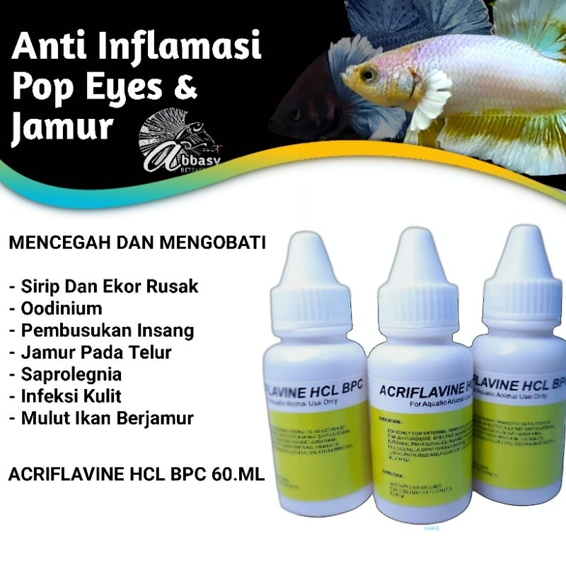 Jual Obat Kuning Acriflavine HCL 60 Ml Ikan Hias Infeksi Eksternal ...