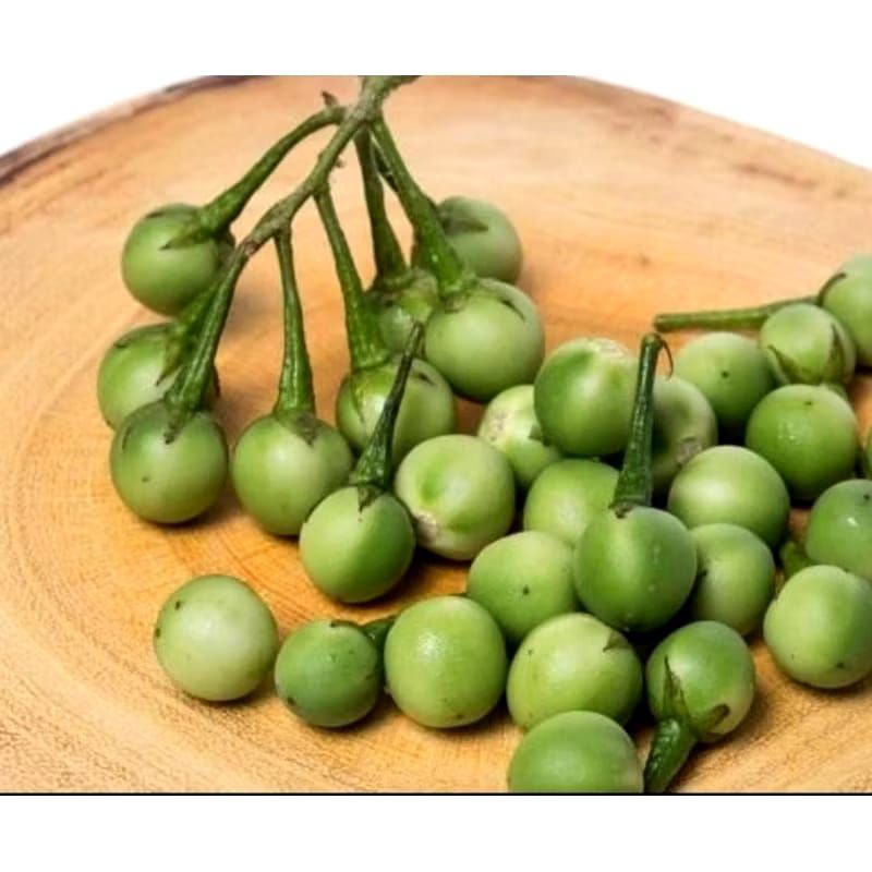 Jual Buah cepokak segar buah takokak segar 500 gram | Shopee Indonesia