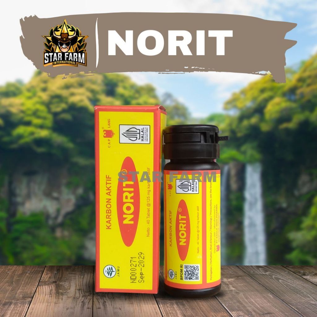 Jual Norit 40 Tablet - Obat untuk Menyerap racun dan mengurangi ...