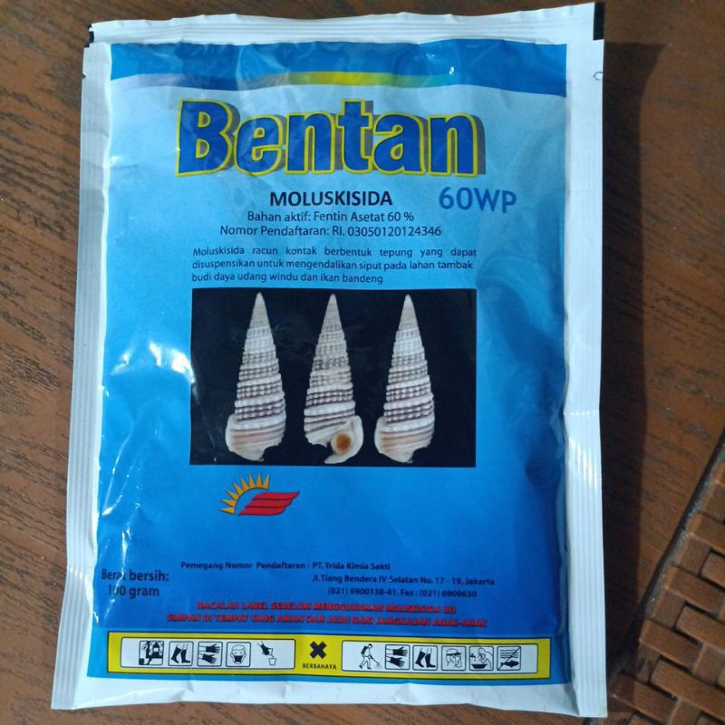 Jual BENTAN 60WP 100 GRAM | Shopee Indonesia