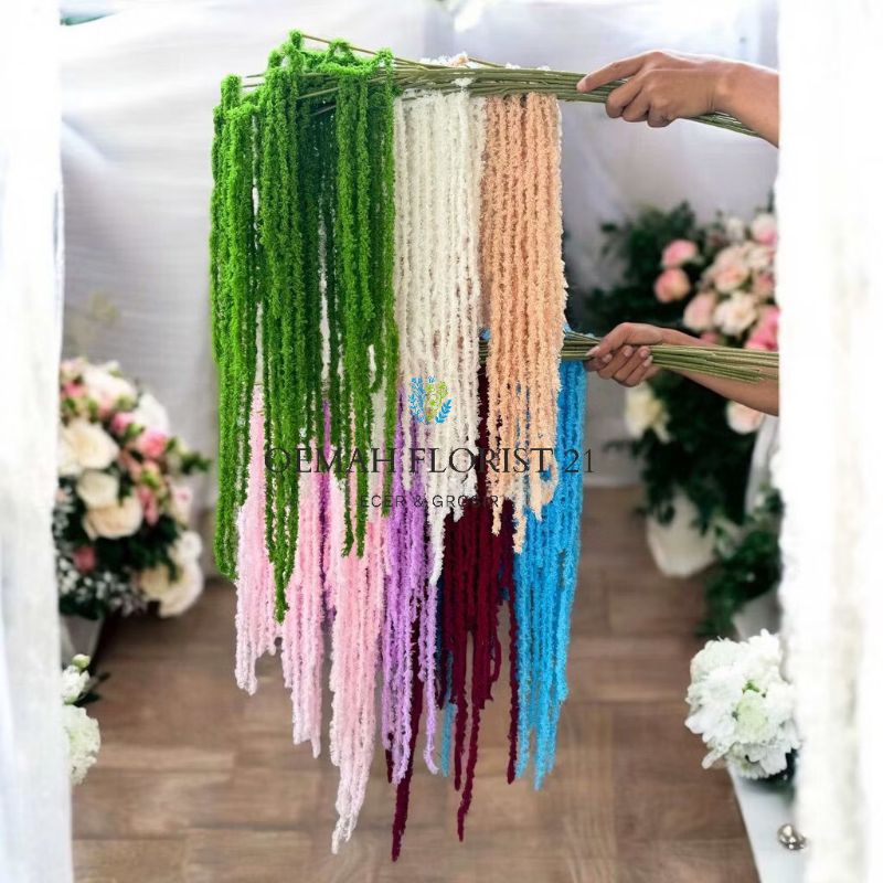 Jual bunga amaratus wall premium tangkai latex bunga dekorasi wedding ...