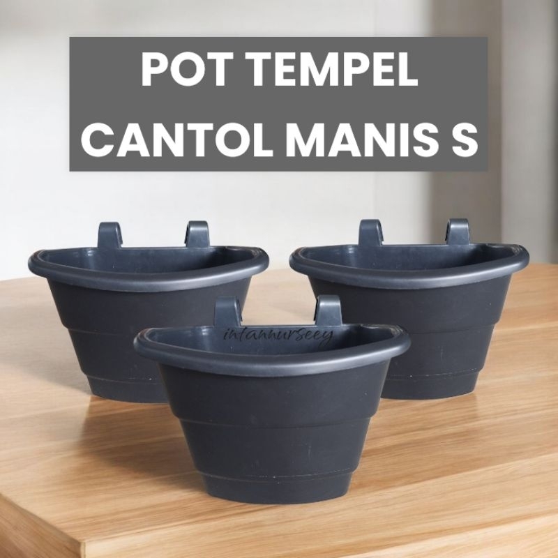 Jual Pot Tempel Cantol Manis S Hitam - Pot Dinding - Pot Vertical ...