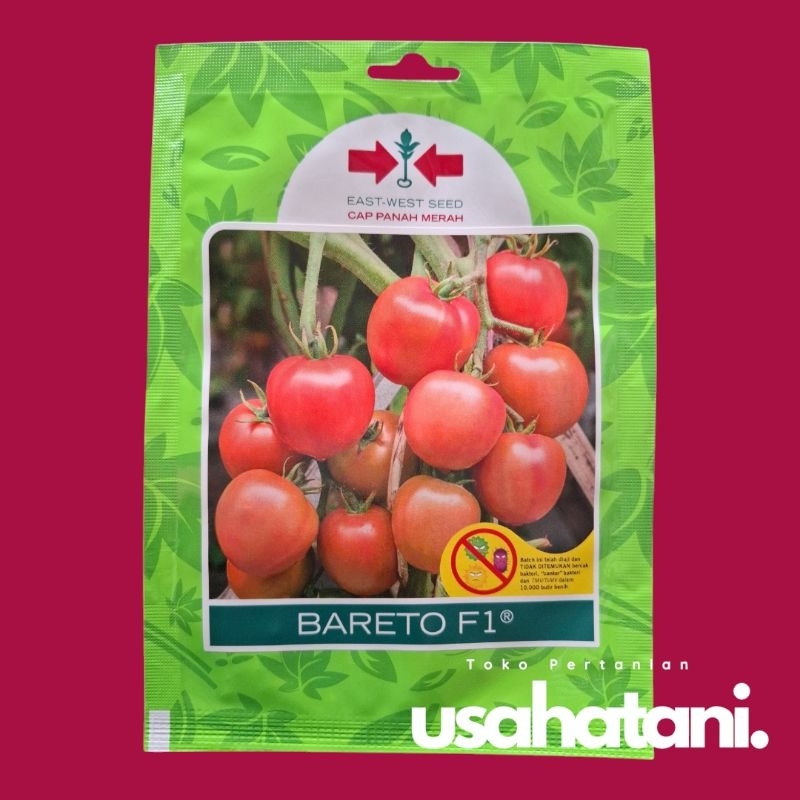 Jual BARETO F1 150 Butir Benih Tomat Cap Panah Merah | Shopee Indonesia