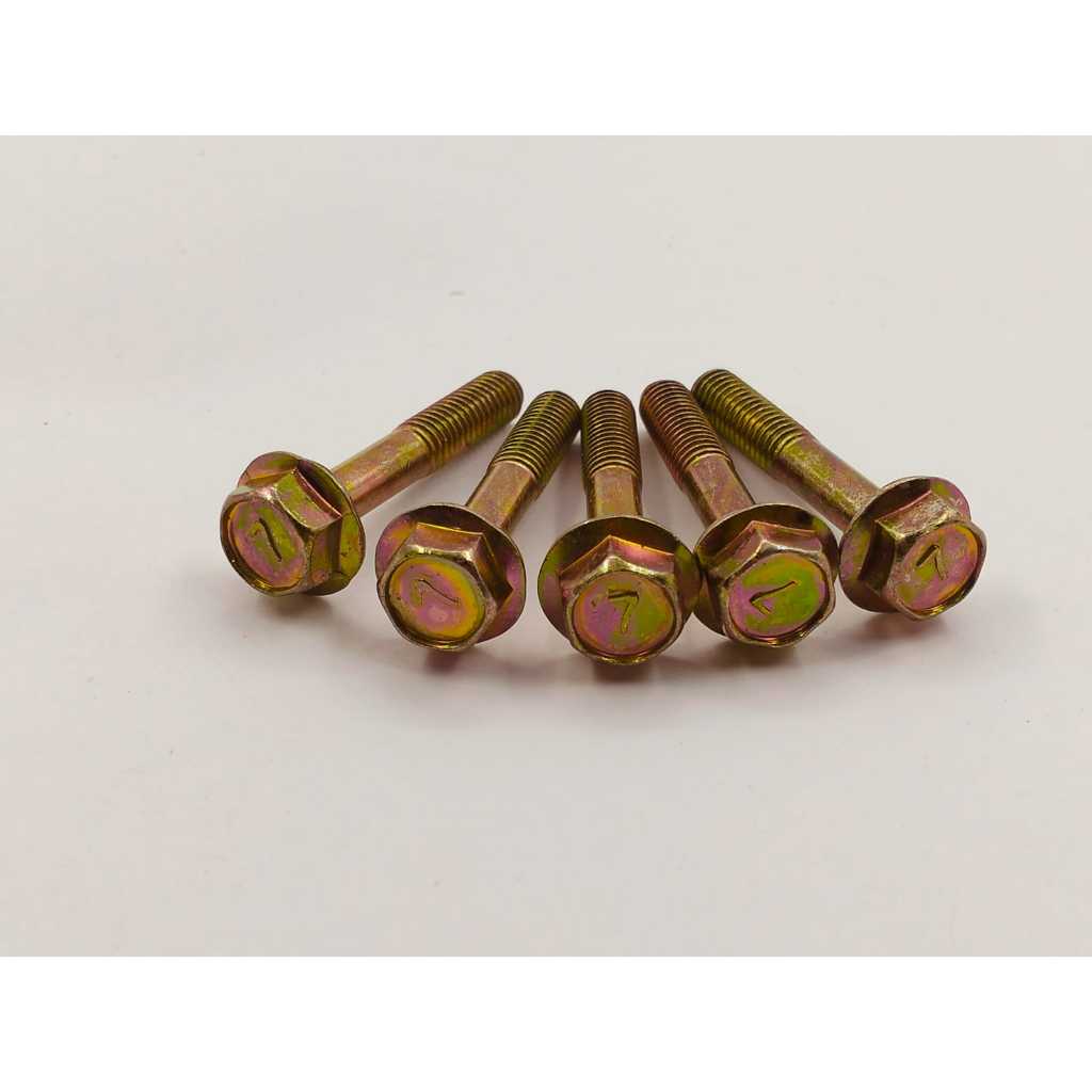 Jual Baut Flange Bolt M6 x 35 (5 PCS) | Shopee Indonesia