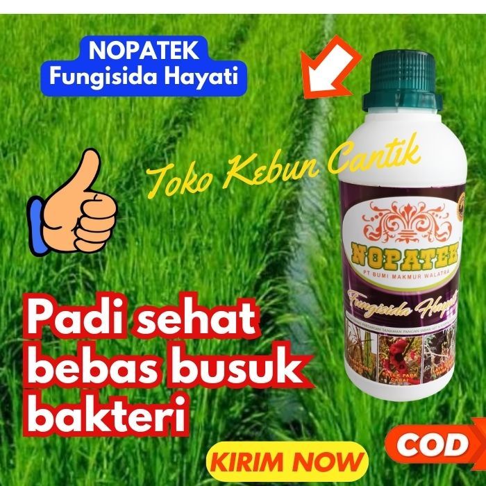 Jual KIRIM HARI INI. NOPATEK 500ML Fungisida Hayati untuk Penyakit ...