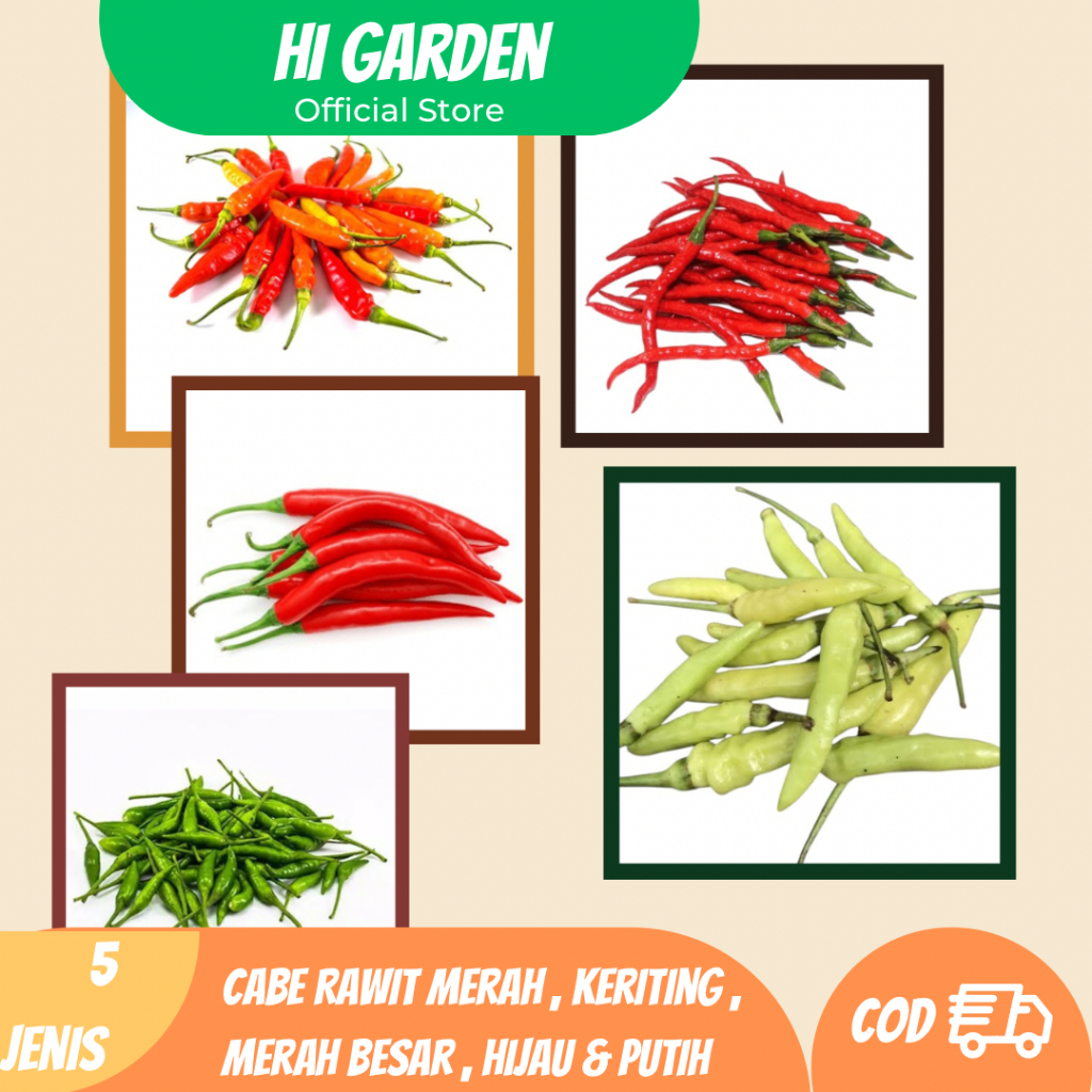 Jual Paket 5 Benih Cabai Premium – Rawit Merah, Rawit Hijau, Rawit ...