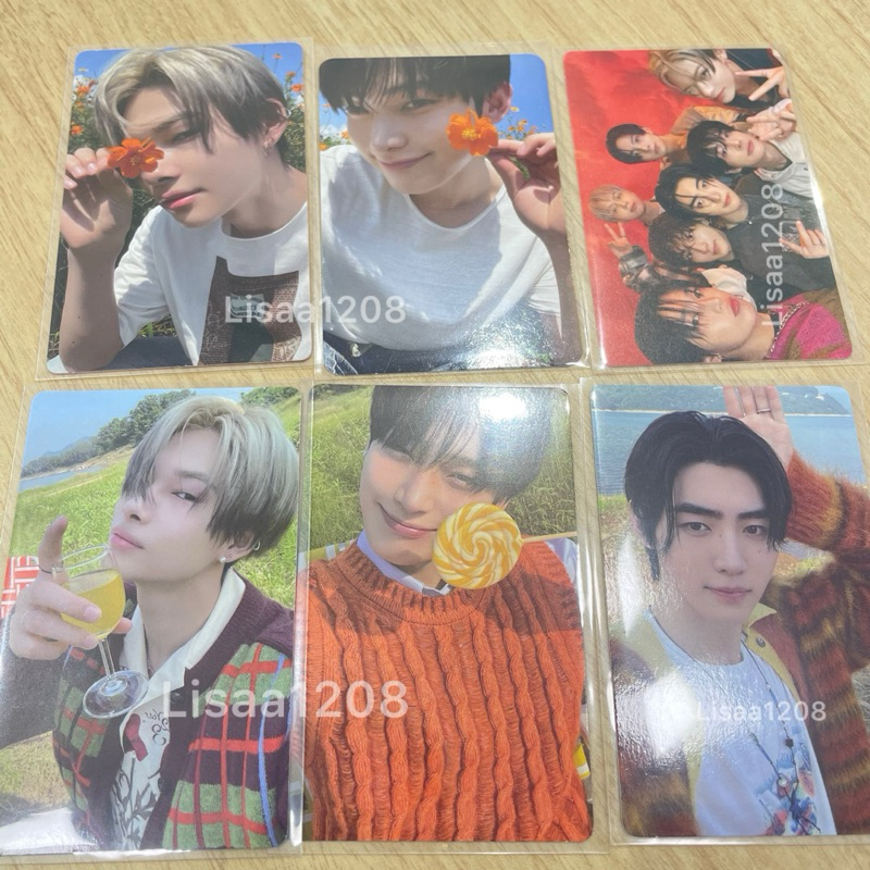 Jual [READY] Official Photocard Enhypen Orange Blood Sunghoon Sunoo ...