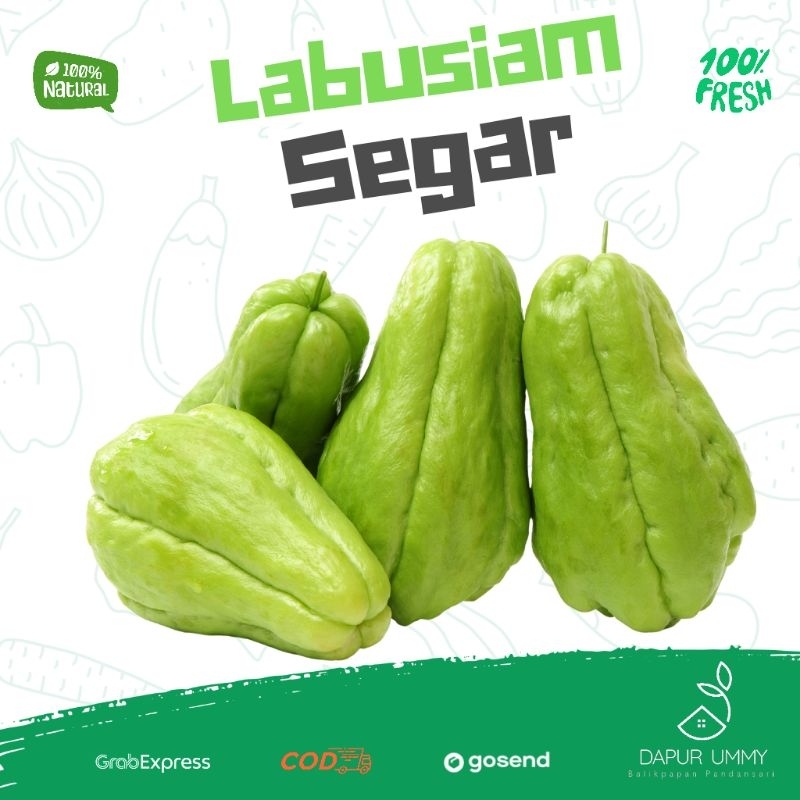 Jual LABU SIAM • Labu siam 500gr - 1kg | Shopee Indonesia