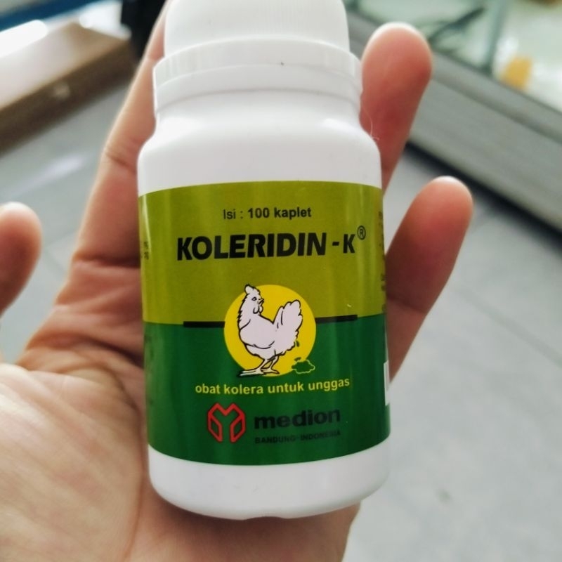 Jual KOLERIDIN -K 100 Kaplet Obat Diare Hijau Putih kolera | Shopee ...