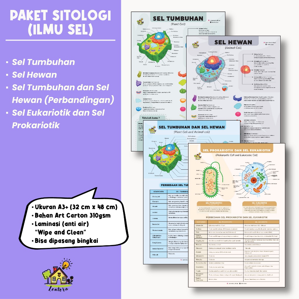 Jual PAKET Poster Edukasi Biologi ILMU SEL SITOLOGI SEL TUMBUHAN HEWAN ...